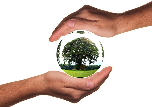 Most Asked Political Questions About The Environment Summerfield Gov most-asked-political-questions-about-the-environment-summerfield-gov